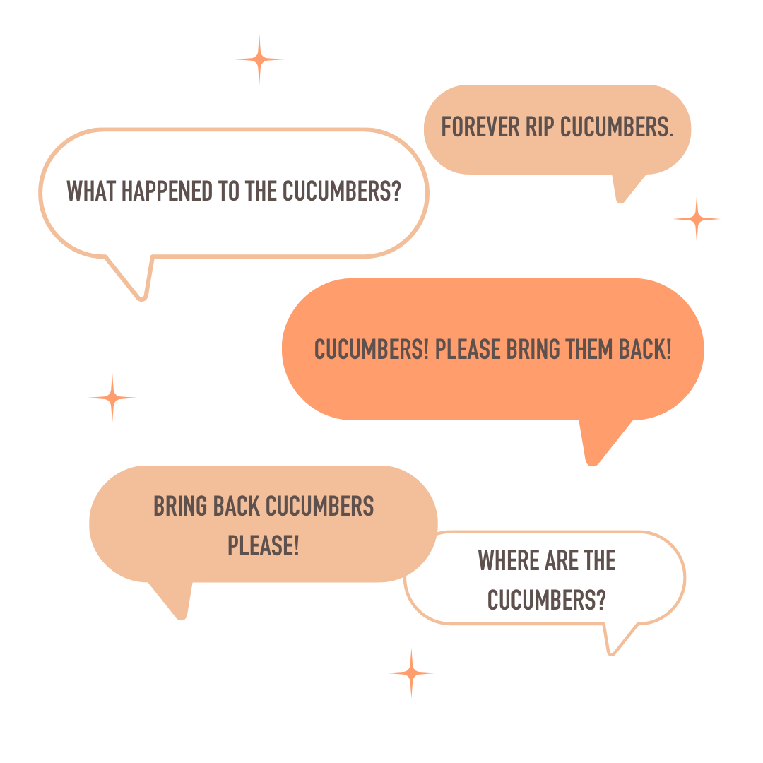 TO ALL YOU CUCUMBER LOVERS - BIBIBOP Asian Grill