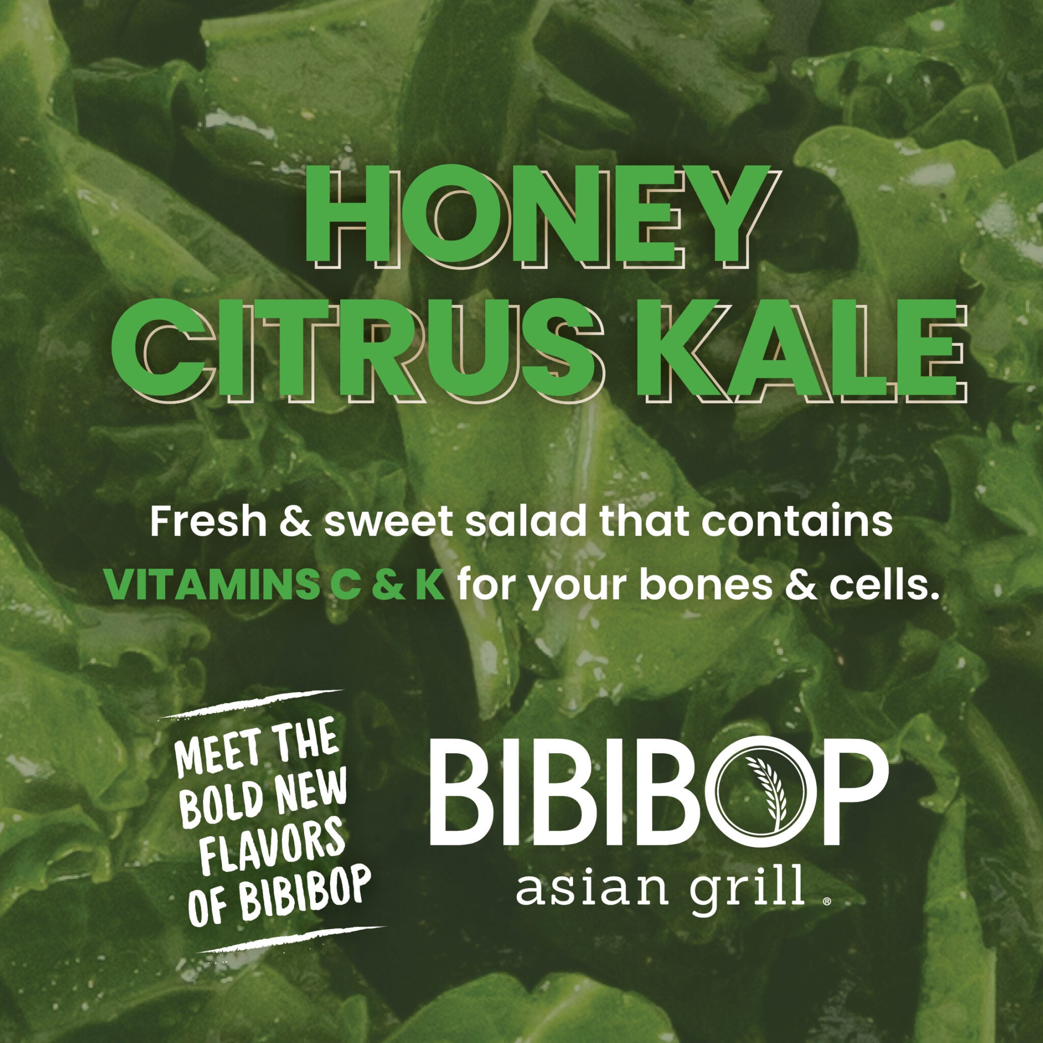 Meet Some of Our Bold New Flavors - BIBIBOP Asian Grill